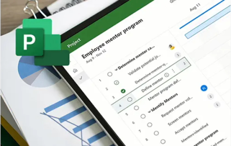 Microsoft Project 2021